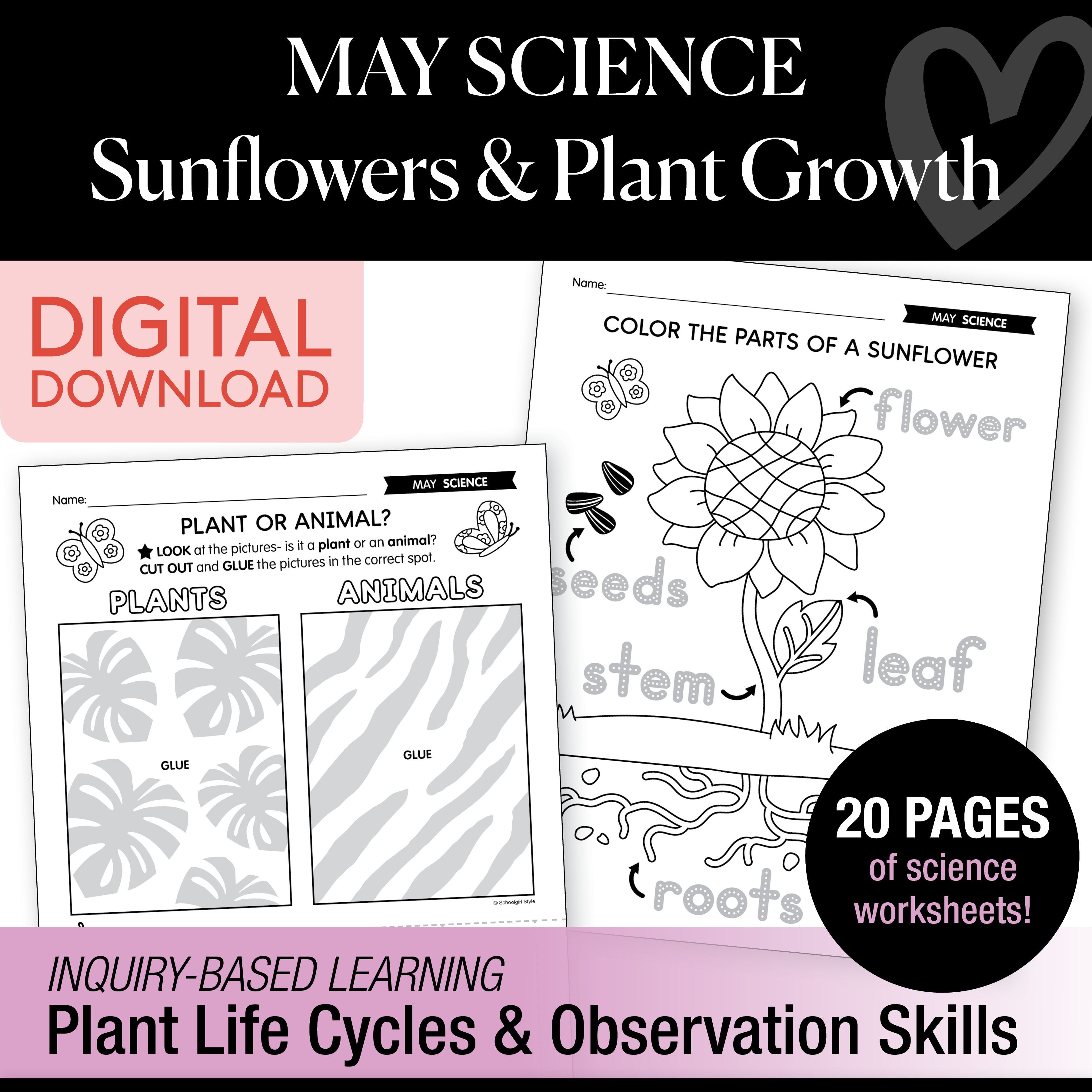 Printable May Science Activities – Schoolgirl Style