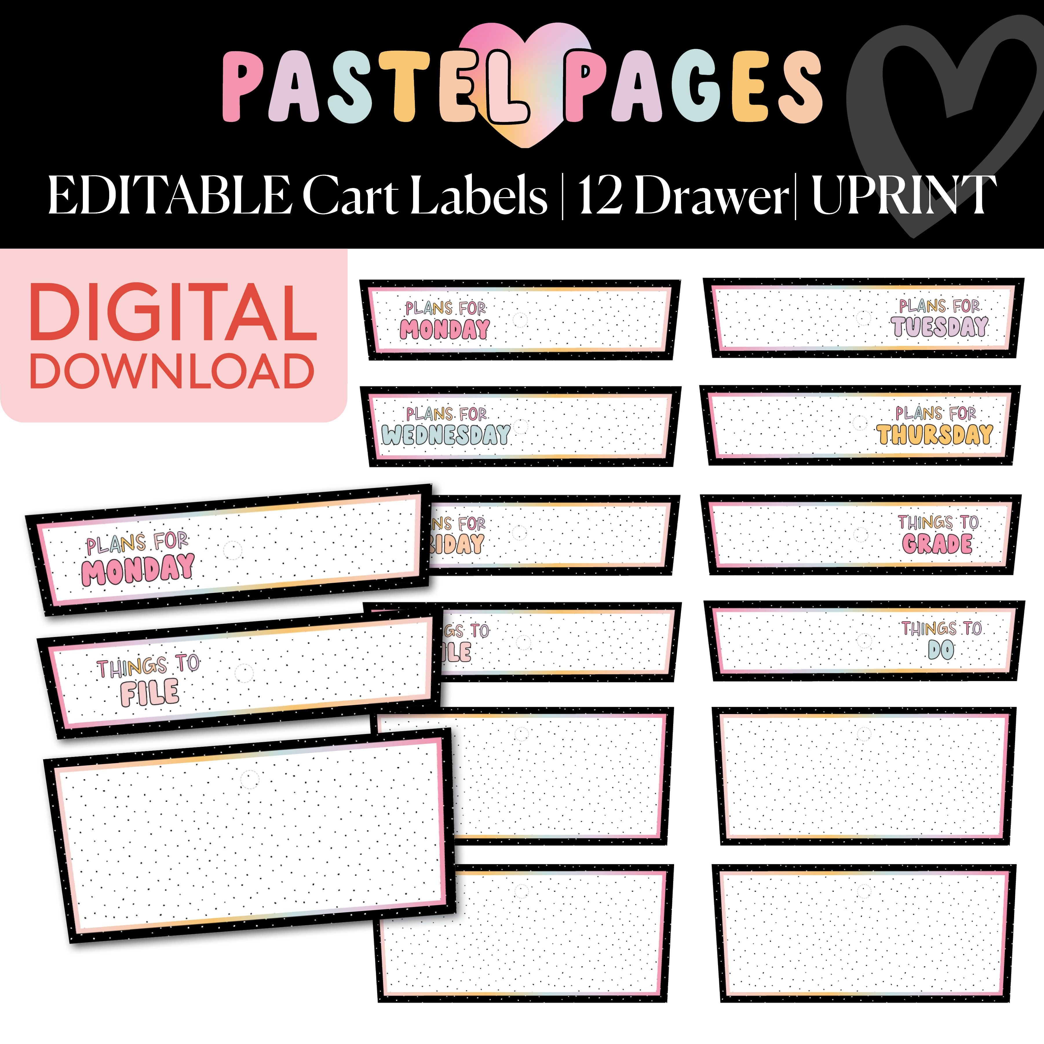 Printable Boho Pastel Editable 12-Drawer Classroom Cart Labels | Paste ...