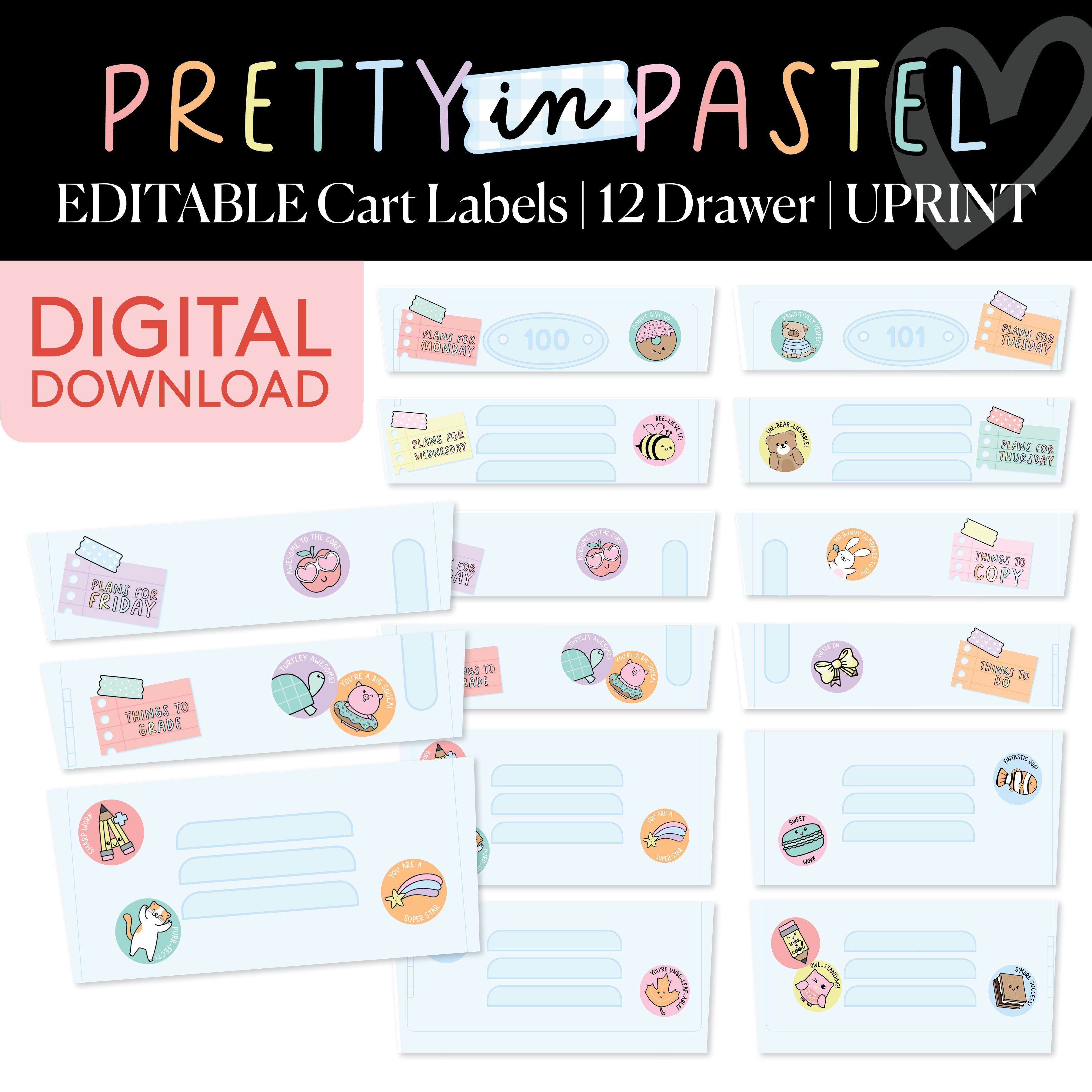 Printable Pastel Editable 12-Drawer Cart Labels | Pretty in Pastel ...