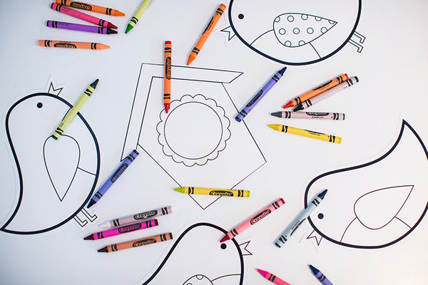 Bird Cut Outs | Color My Classroom | Schoolgirl Style