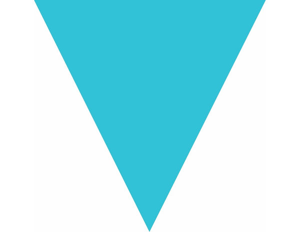 NEON Rainbow Pennants | Just Teach | Schoolgirl Style