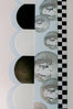 Disco Forever On Blue Bulletin Board Border – Schoolgirl Style
