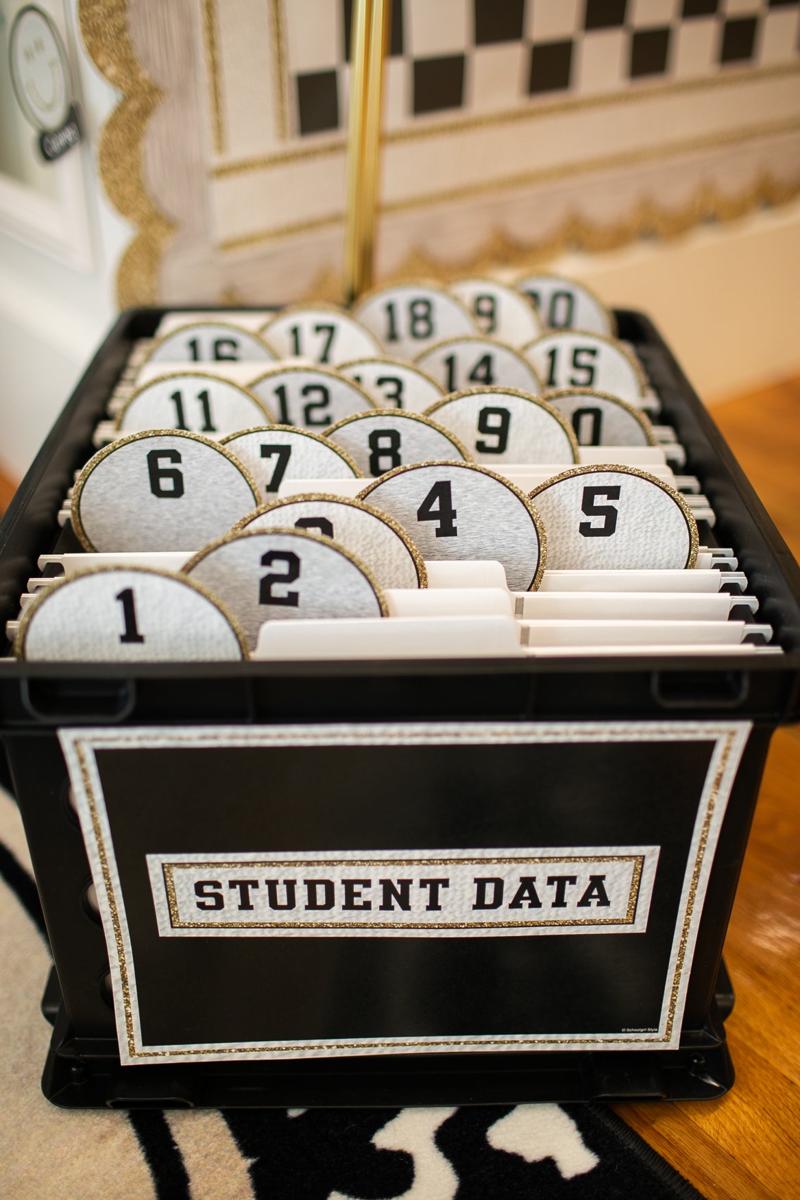 School Spirit | Classroom Decor | Schoolgirl Style