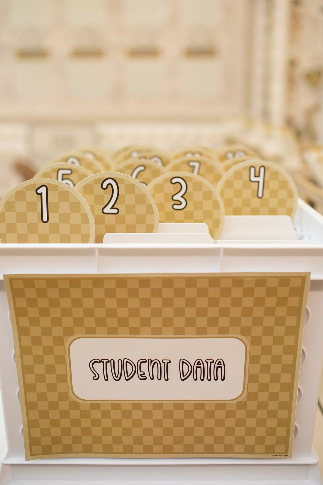 The Cozy Collection | Cozy Classroom Decor | Schoolgirl Style