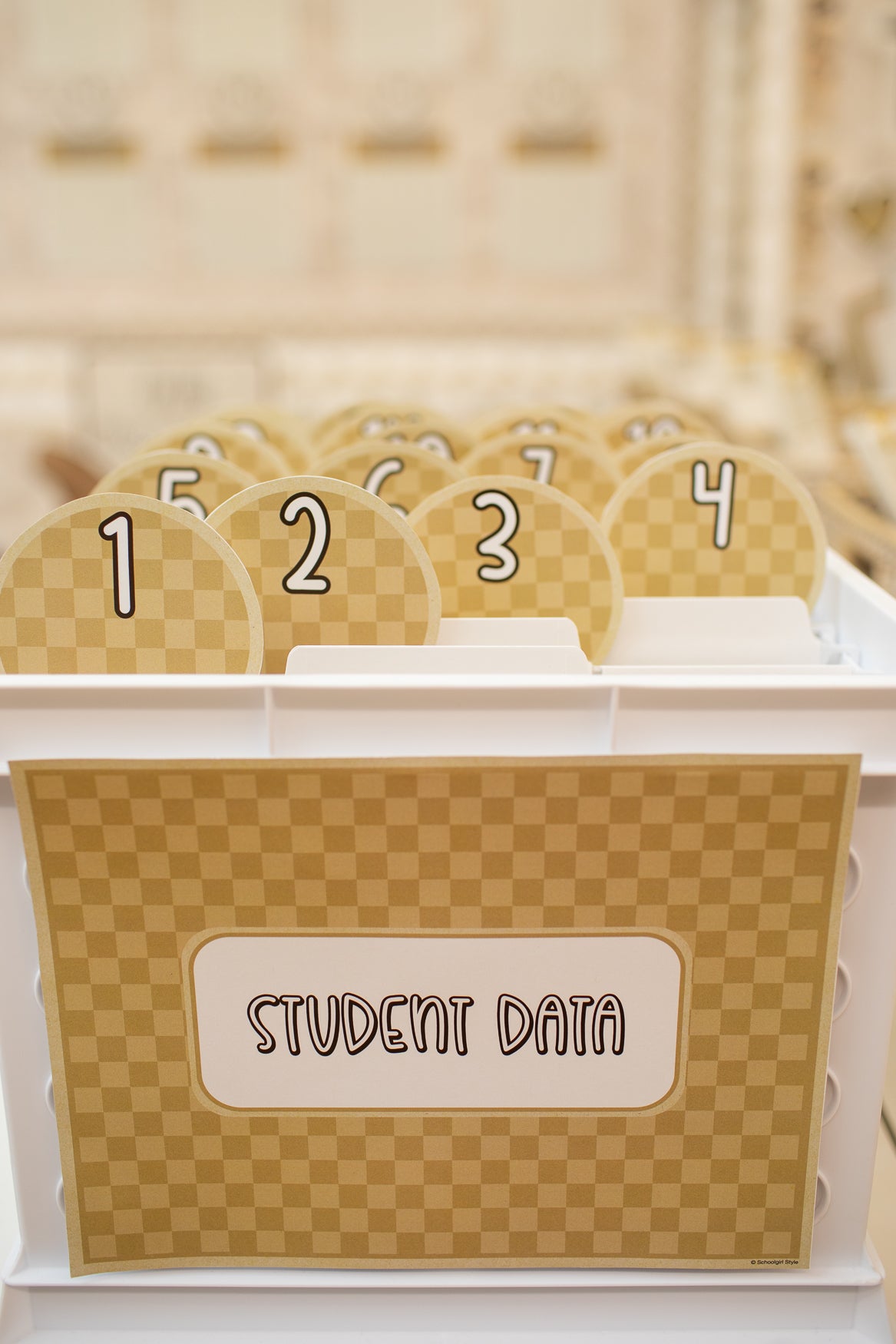 The Cozy Collection | Cozy Classroom Decor | Schoolgirl Style