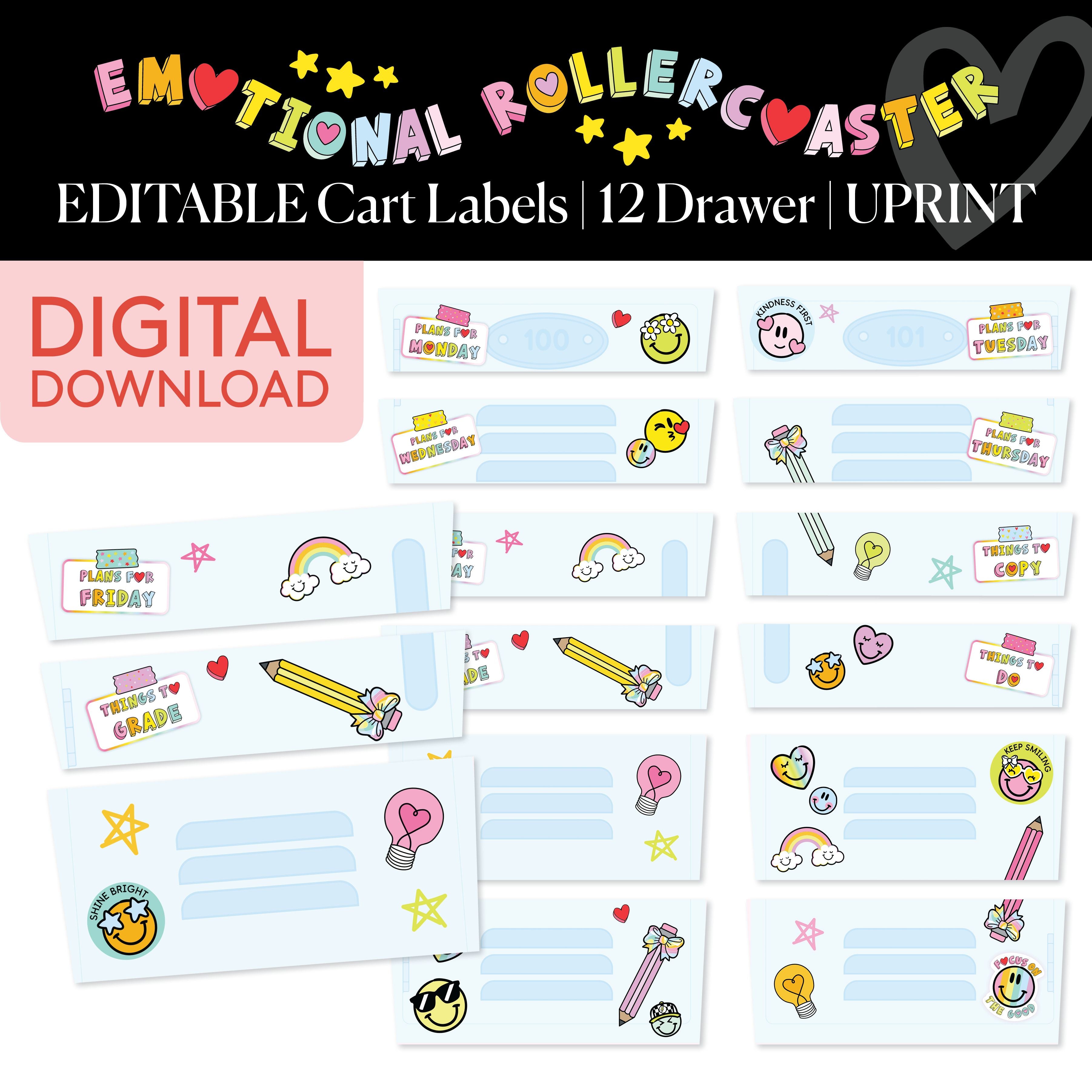 Printable Rainbow Pastel Blue Locker 12-Drawer Editable Classroom Cart ...