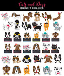 Cats and Dogs | Full Printable Classroom Decor Bundle | Printable Clas ...