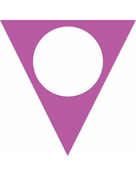 Neon Pop - EDITABLE Pennant Banners {UPRINT} – Schoolgirl Style