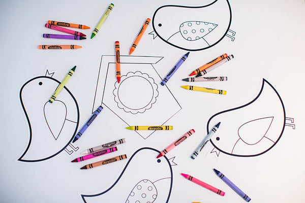 Bird Cut Outs | Color My Classroom | Schoolgirl Style