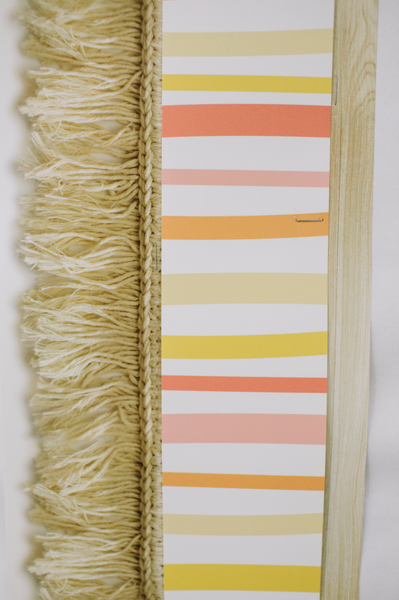 Zebra Stripe | Bulletin Board Border | Simply Safari | Schoolgirl Styl ...