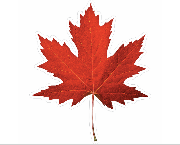 Fall Leaves Cut Outs|Neutral Classroom Decor|Schoolgirl Style