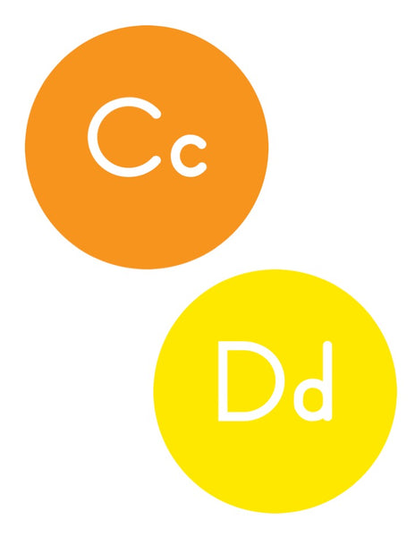 Rainbow Word Wall Letters ||U PRINT – Schoolgirl Style