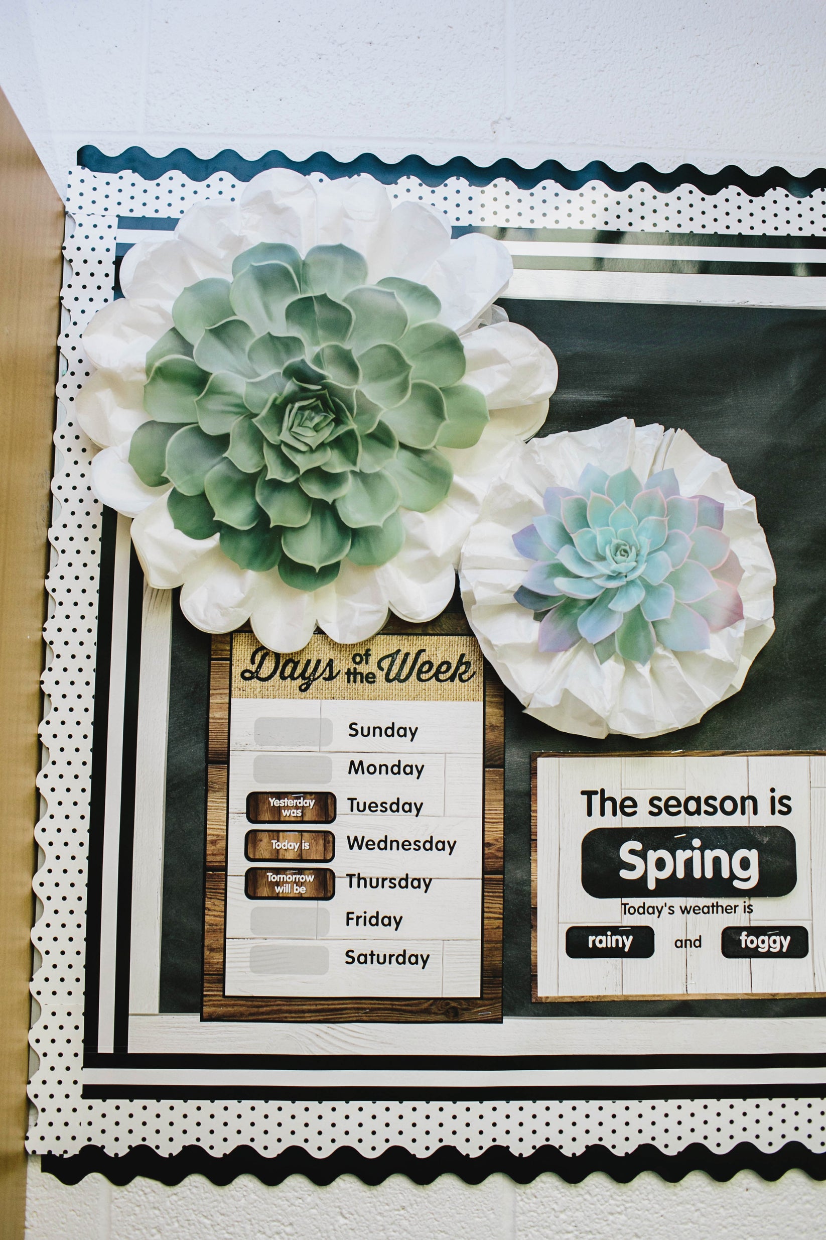 Succulent Cutouts |Floral|Schoolgirl Style